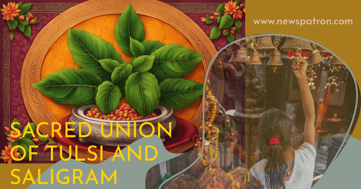 Embracing the Divine: The Tulsi Vivah Celebration — NEWSPATRON